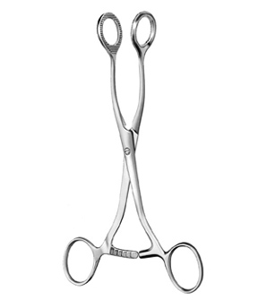 Tongue Holding Forceps Collin - THEO-PHILUS MEDICAL